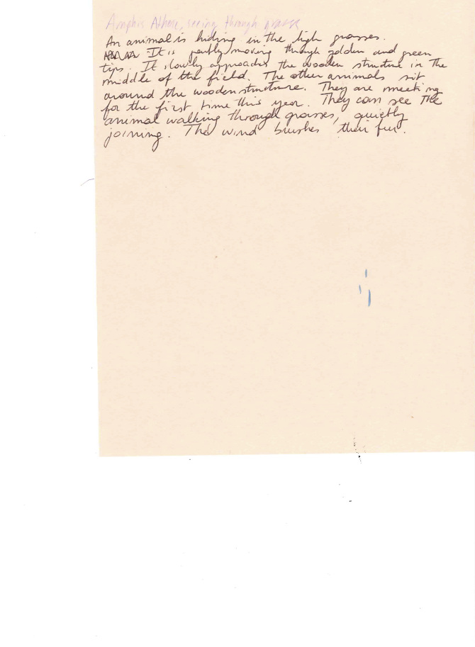 'Workshopping Writing' - Lucy Rose Cunningham