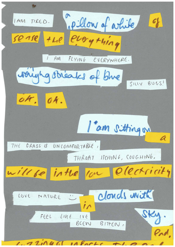 'Workshopping Writing' - Lucy Rose Cunningham