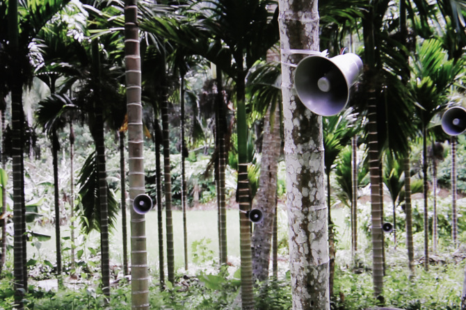 Dinu Li: Artists Talk – Harriet Moore – BA (Hons) Photography Blog