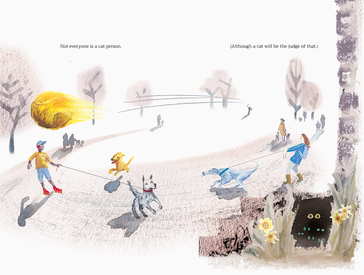 Picture Book: A Cat of Many Names - www.janebirbeckillustration.co.uk