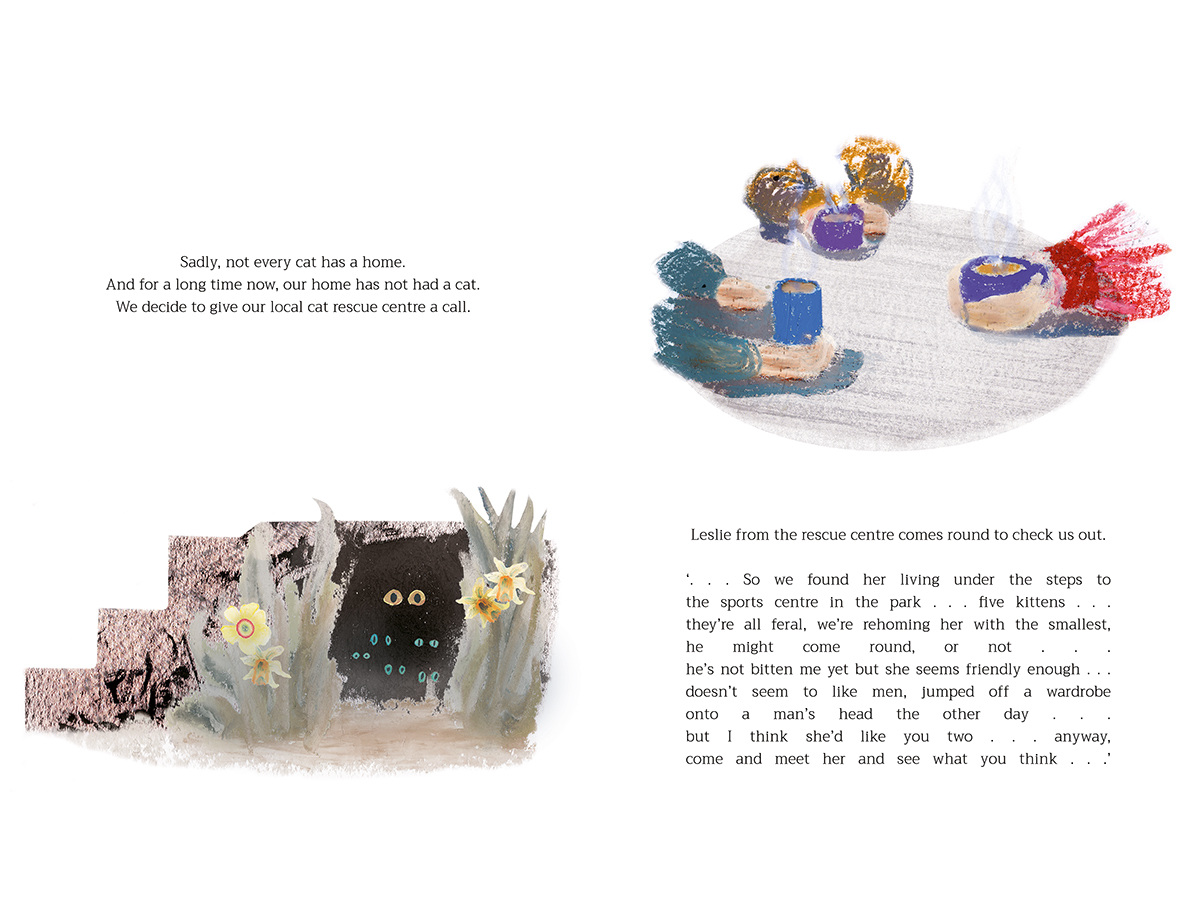 Picture Book: A Cat of Many Names - www.janebirbeckillustration.co.uk