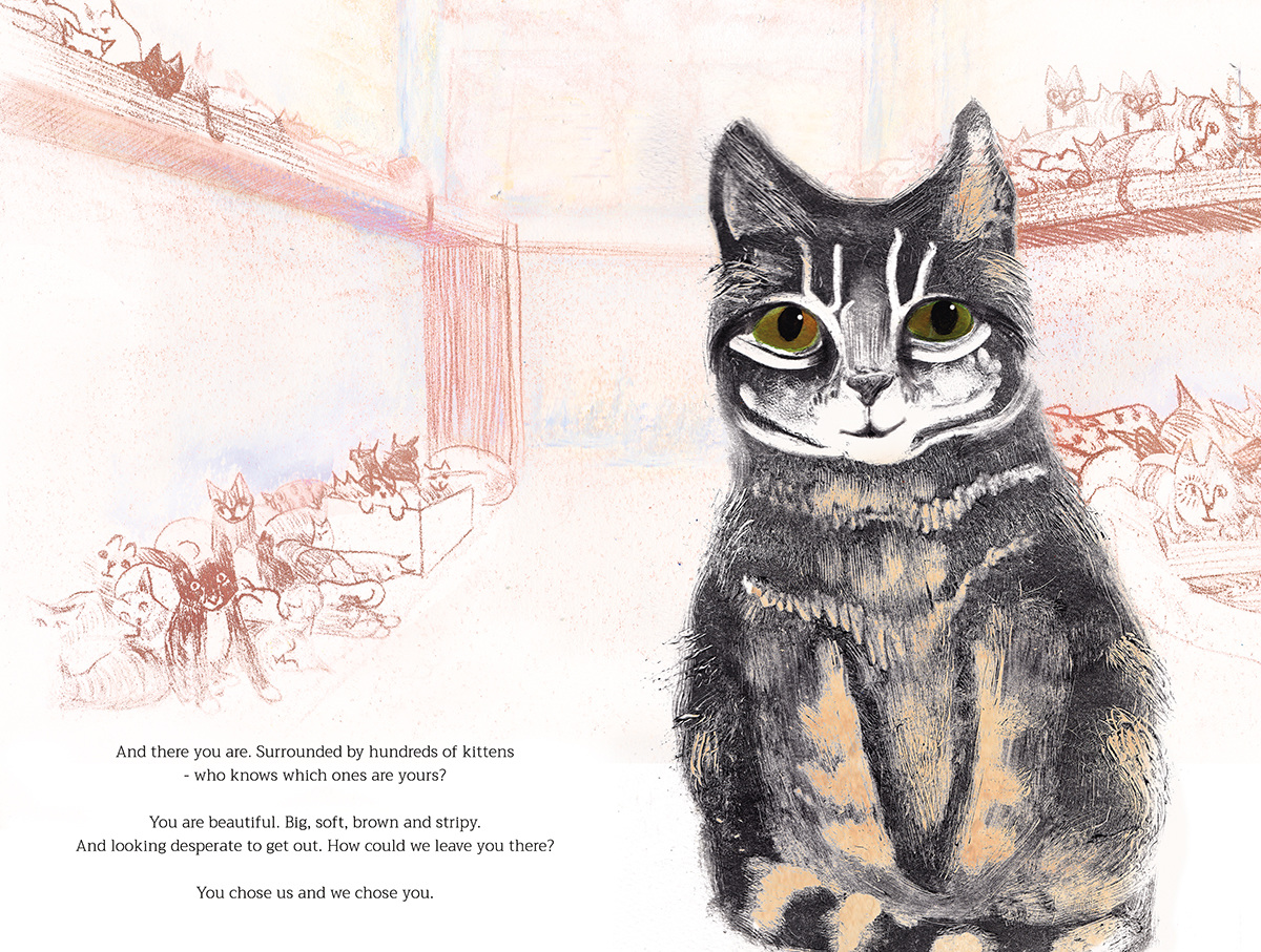Picture Book: A Cat of Many Names - www.janebirbeckillustration.co.uk