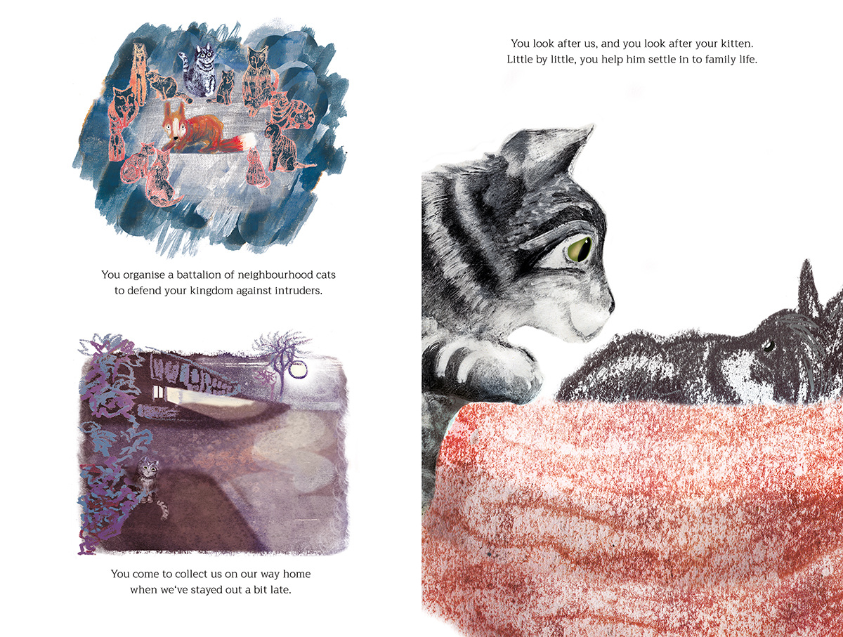 Picture Book: A Cat of Many Names - www.janebirbeckillustration.co.uk