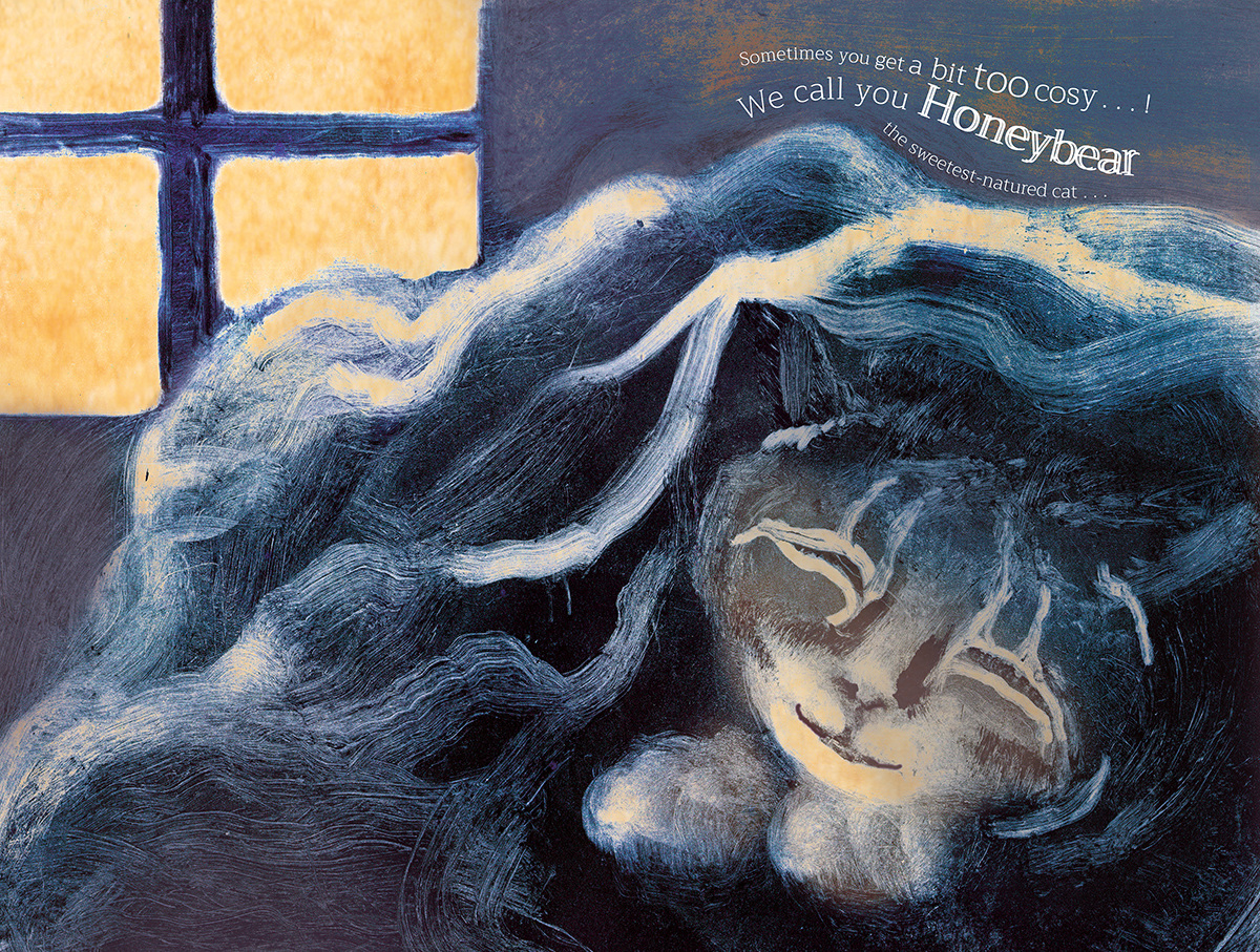 Picture Book: A Cat of Many Names - www.janebirbeckillustration.co.uk