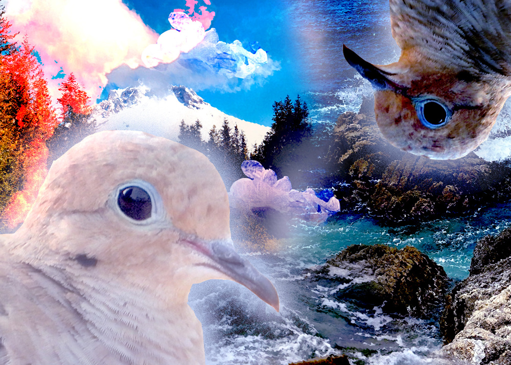 Inside My Mind - Multimedia Art @ Leland