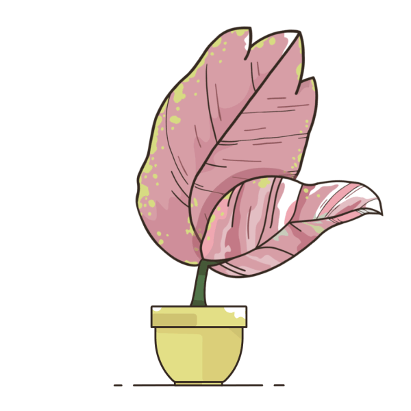 - Lively Root GIFs - - Freelance works