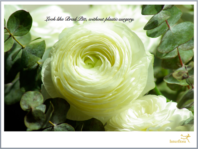 Interflora for men - Mutti