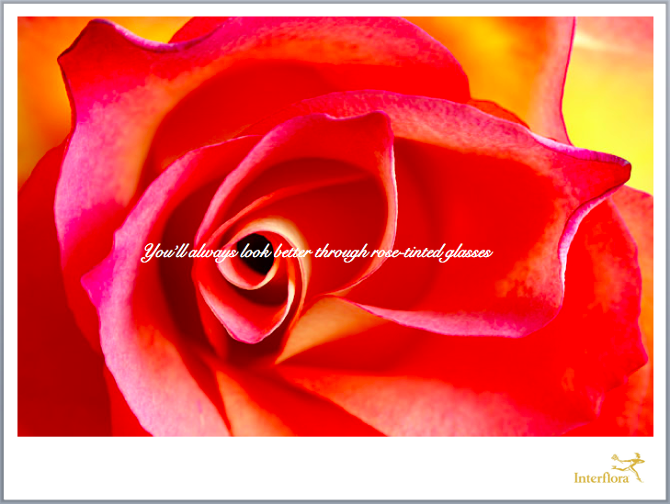 Interflora for men - Mutti