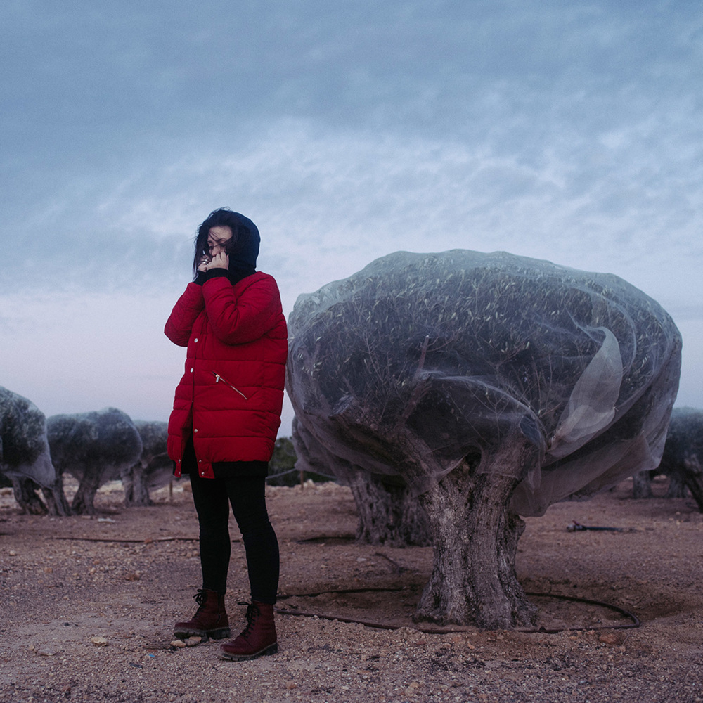 Scorpio Island - Desideria