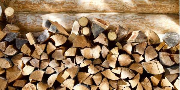 Best Type of Logs for Burning - HarcourtHealth