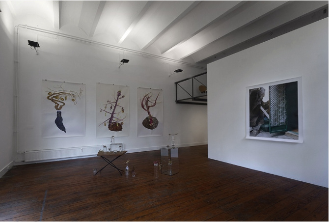 Avant Gardener - Naz Kocadere