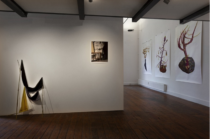 Avant Gardener - Naz Kocadere