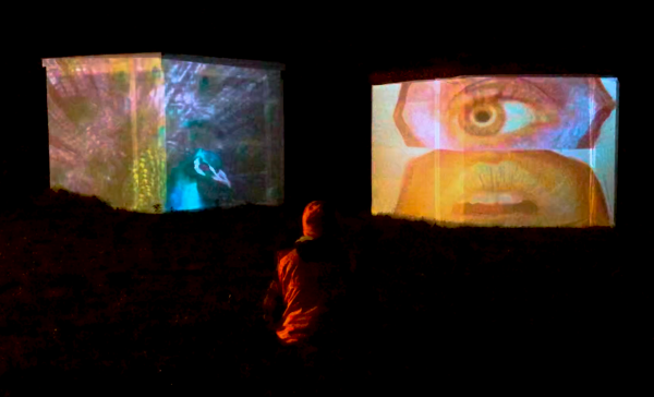 Hexagonal Strategies for Better Living - Springfield Farm Experiments