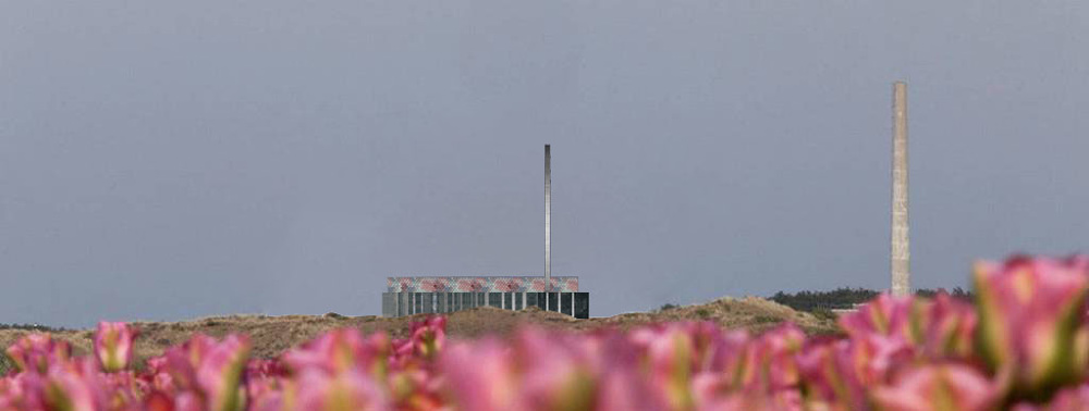 Pallas Reactor - mariasava