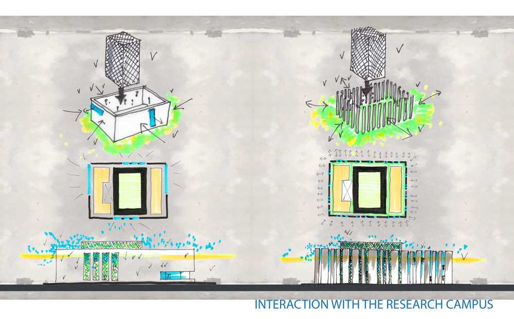 Pallas Reactor - mariasava