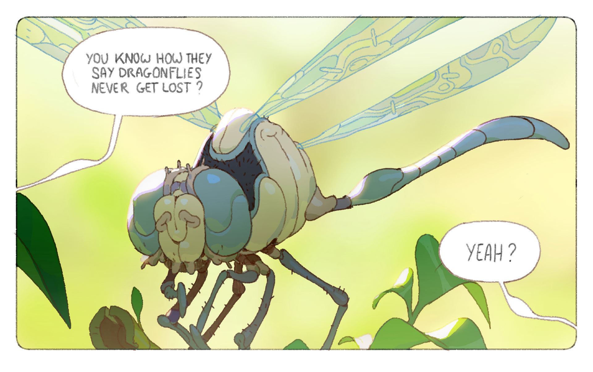 Rauque - Alexandre Diboine