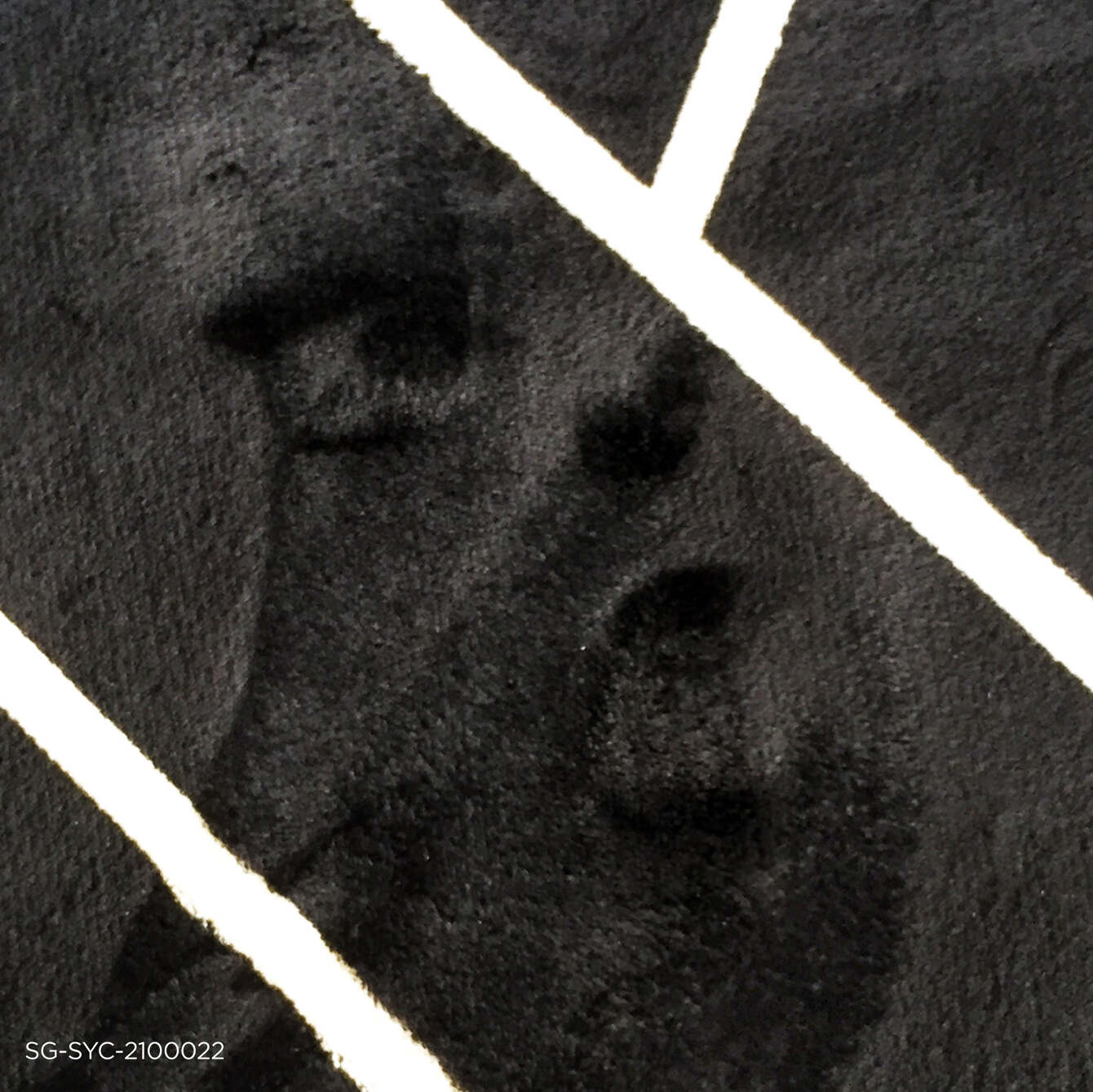 Alcon Singapore - Its_Aloy