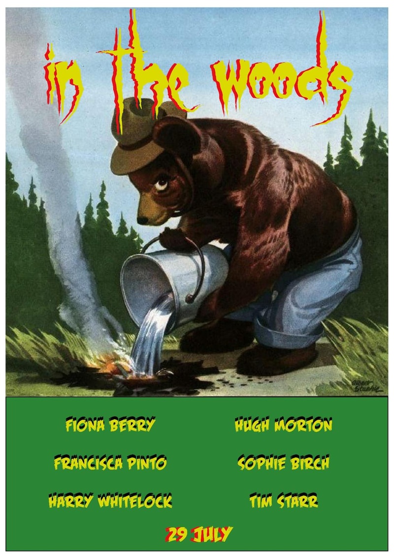 In the woods - Francisca Pinto