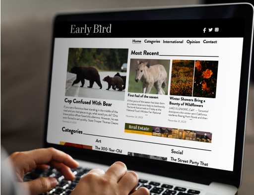 News Feed Design - Marta Rivera