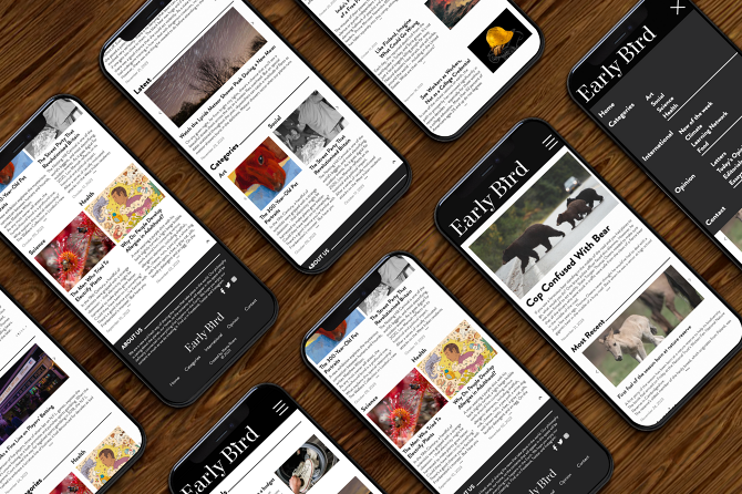 News Feed Design - Marta Rivera