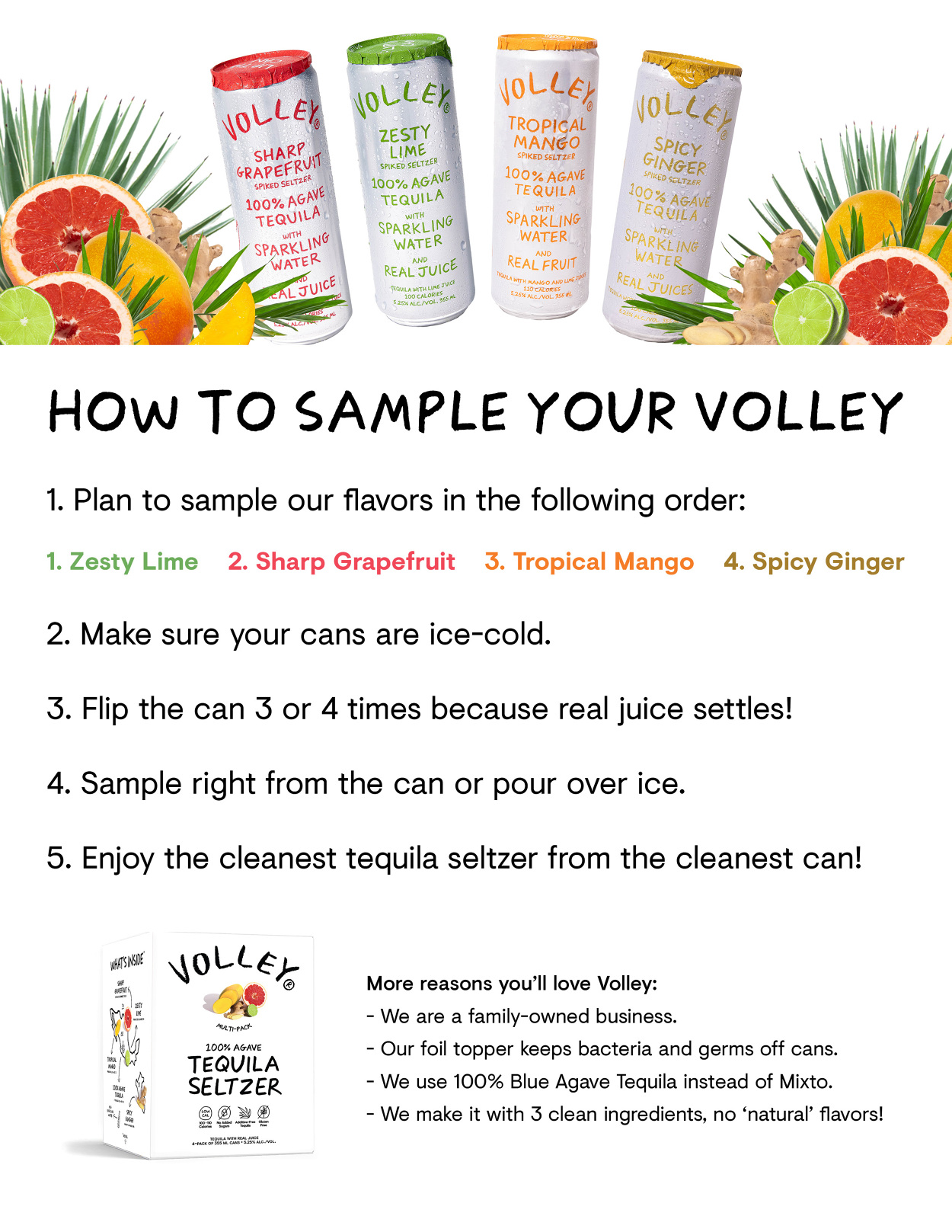 Volley Tequila Seltzer - Krista Block Design