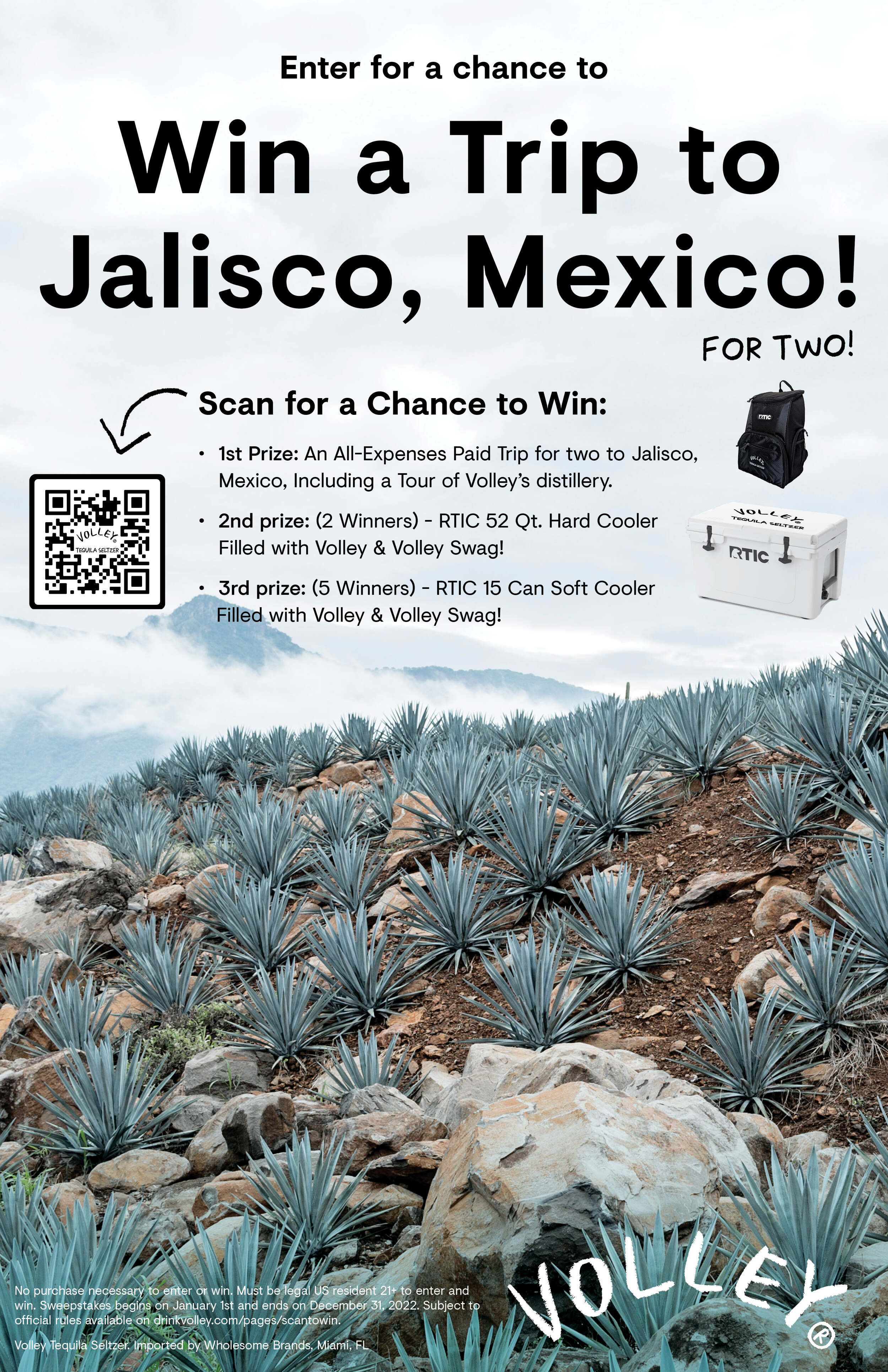 Volley Tequila Seltzer - Krista Block Design