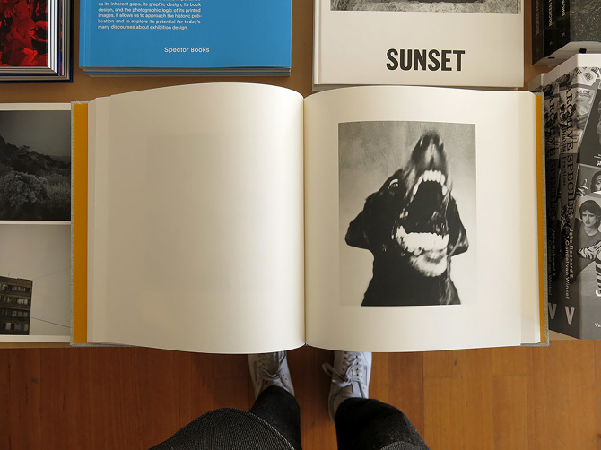 Jack Davison – Photographs - Perimeter Books