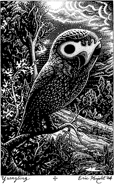 Eric Knight : Pen & Ink and Collage