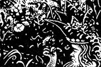 Eric Knight : Pen & Ink and Collage