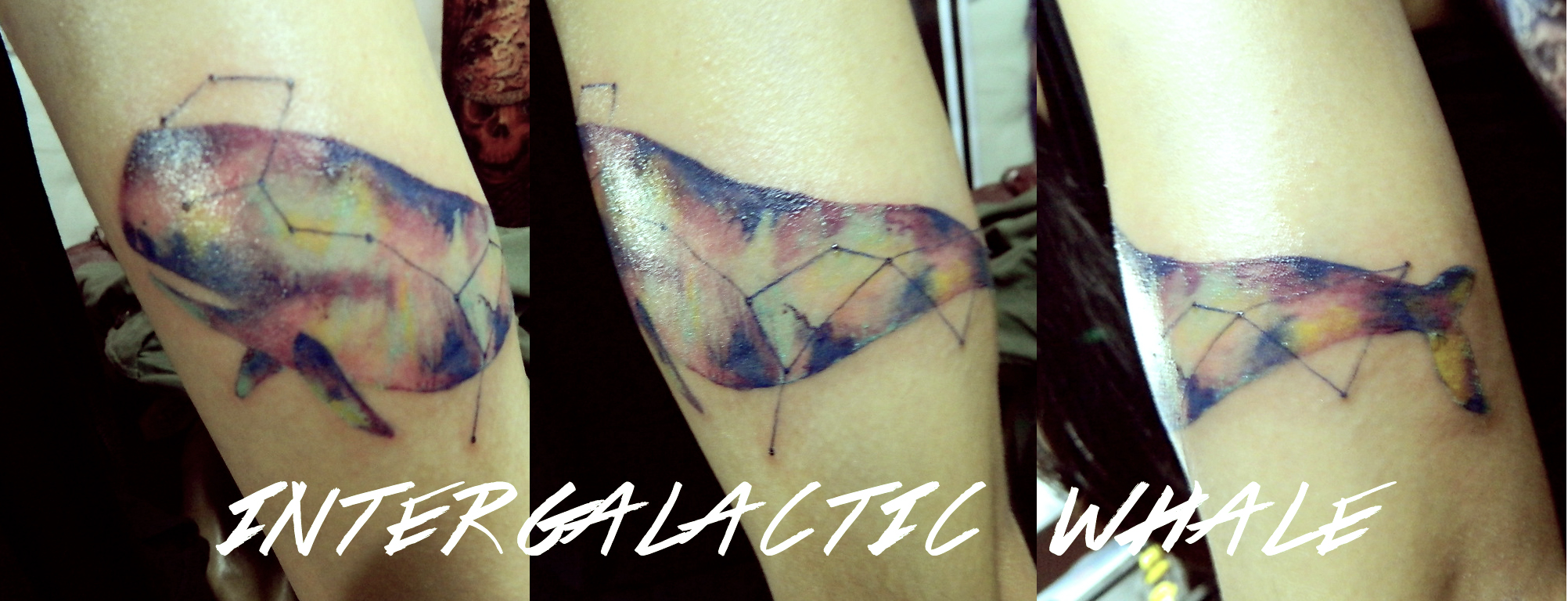 Curious Tattoos - The Curious Studio