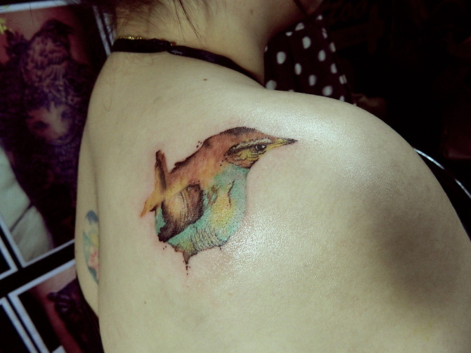 Curious Tattoos - The Curious Studio