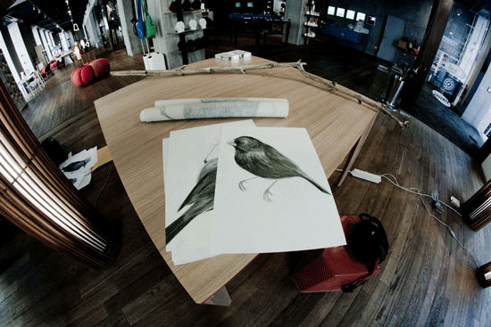 Martina Merlini - Francesca Riccioni