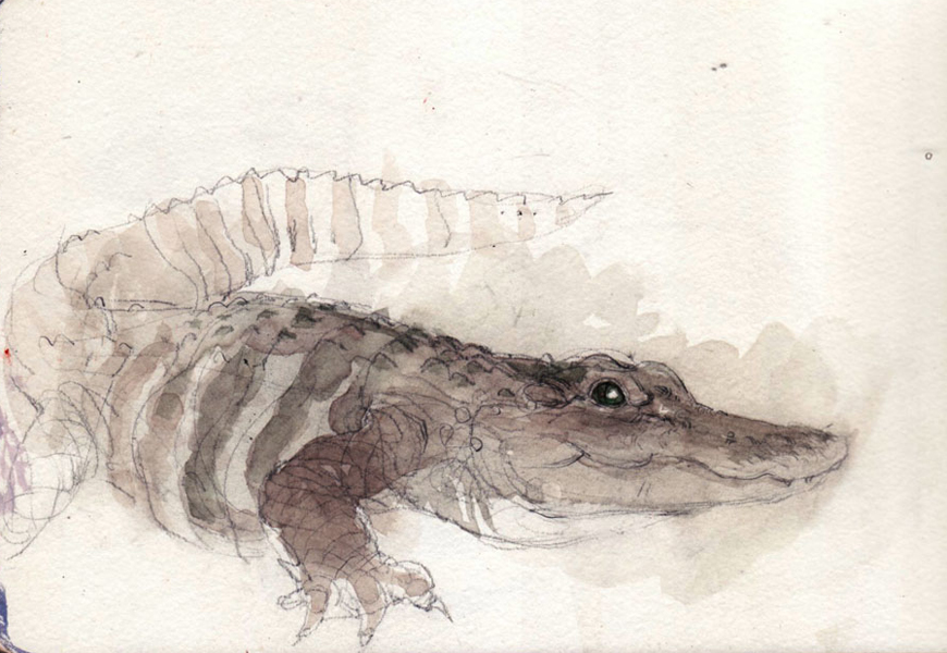 sketchbook - Wayne Johnson Illustration