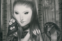 Wayne Johnson Illustration