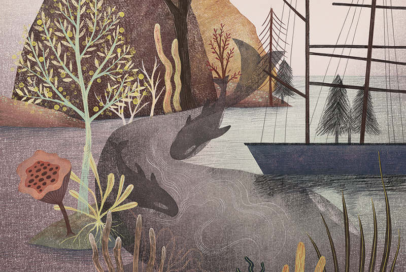 Seo Kim Illustration