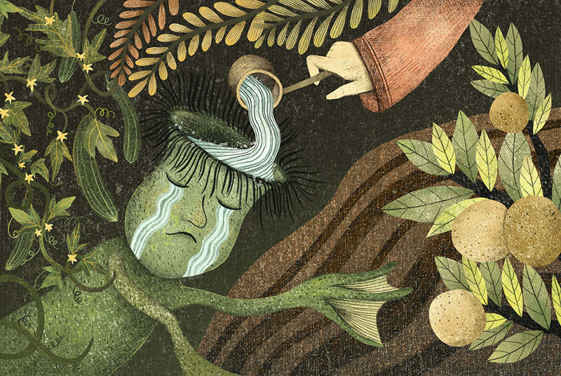 Seo Kim Illustration