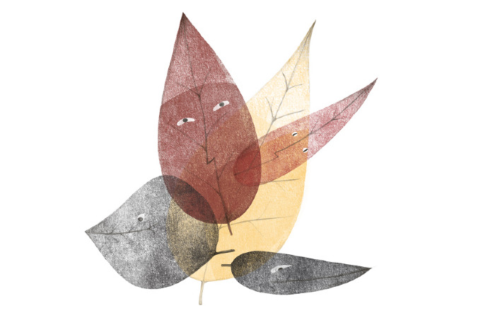 Calendar - Seo Kim Illustration