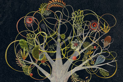 Seo Kim Illustration