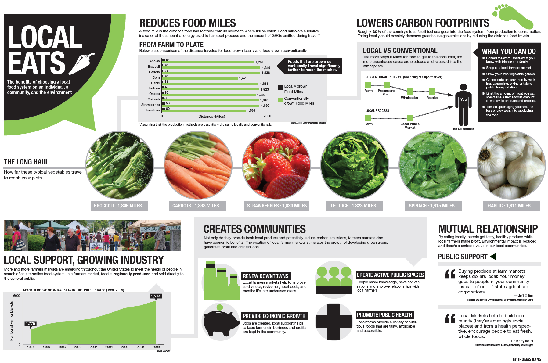 Infographics - thomas hang | graphic desiger