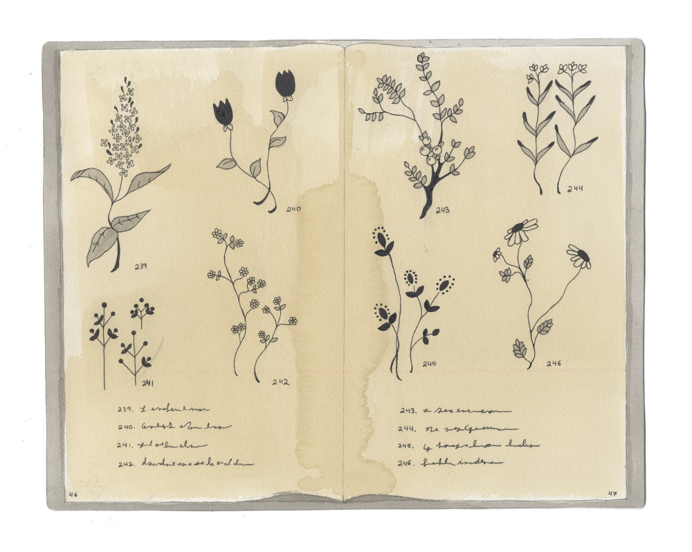 "fleurs" book - Susannah Lee Cutler