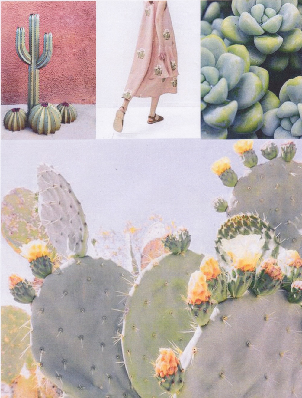 woven cacti - Susannah Lee Cutler
