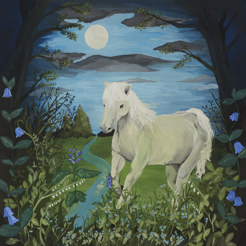 we know the sky - Susannah Lee Cutler