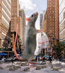 Doug Chayka