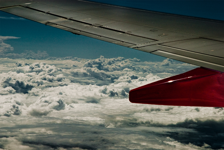 wings - Jason Sato Photography