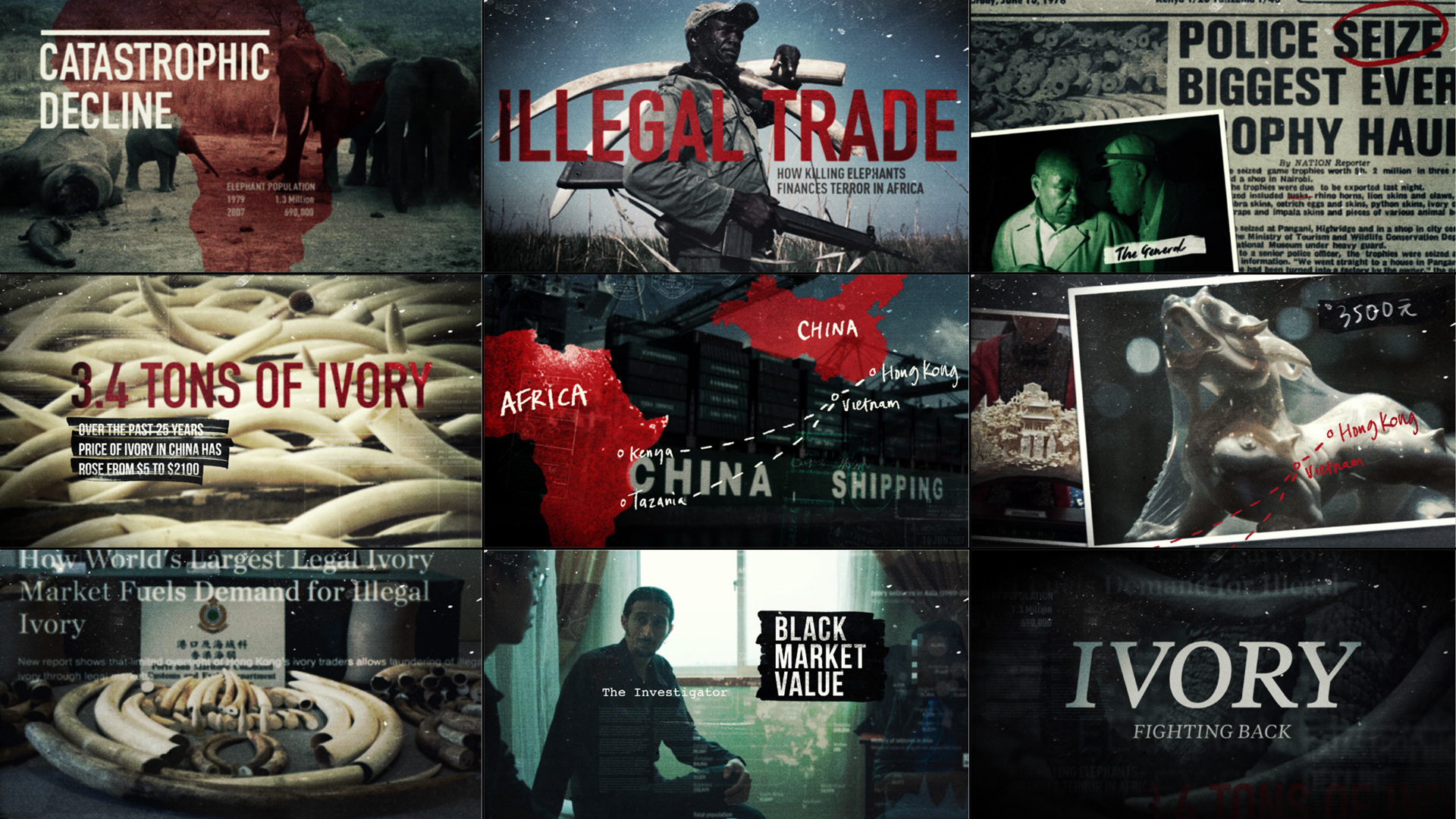 Ivory Documentary | TITLE SEQUENCE - Helen Hsu Art Direction | Motion Design