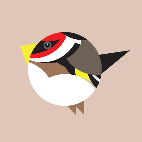Goldfinch - Round Birds