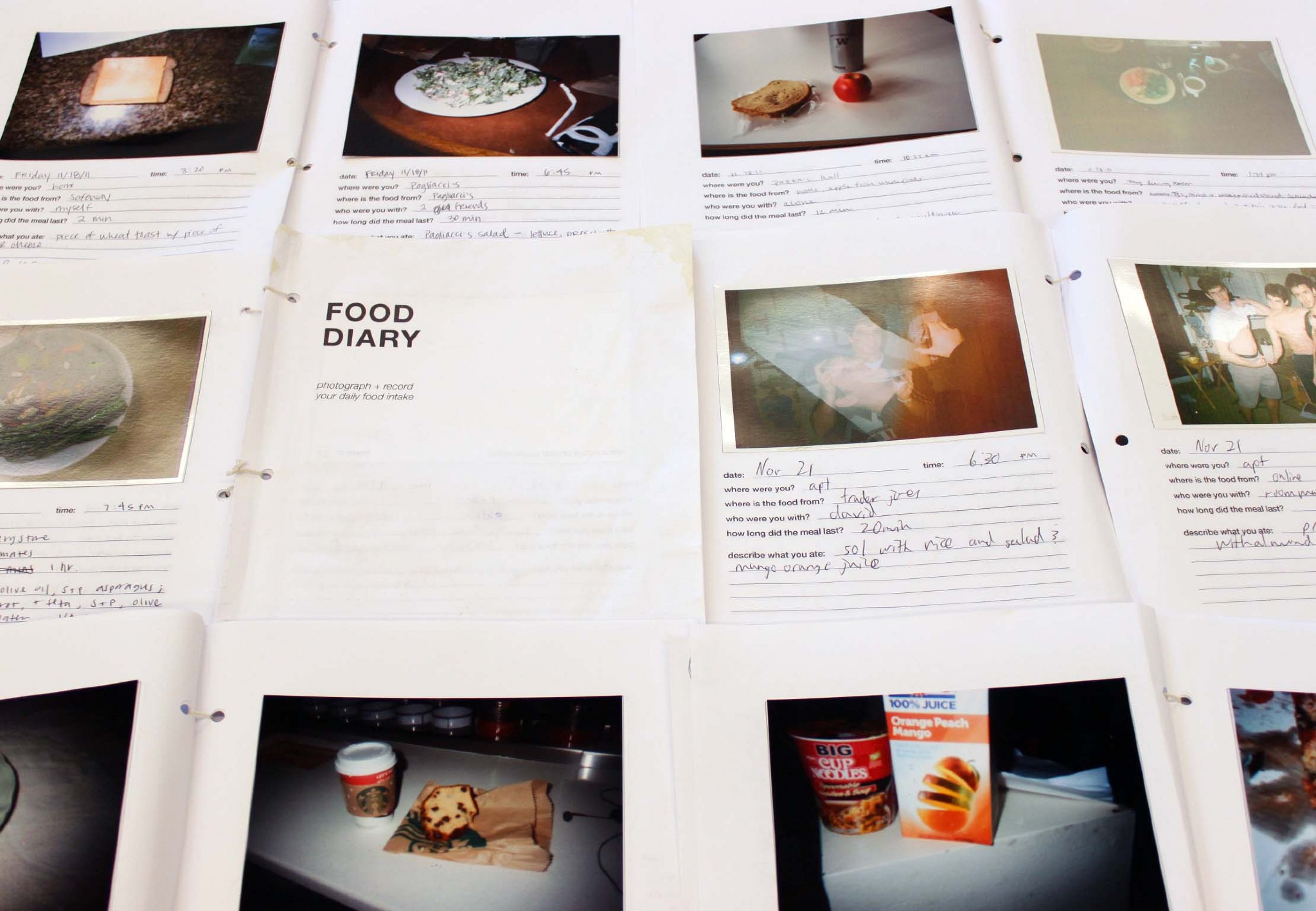 undergraduate students' eating habits - emily christianson