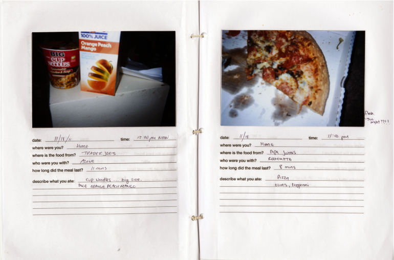 undergraduate students' eating habits - emily christianson