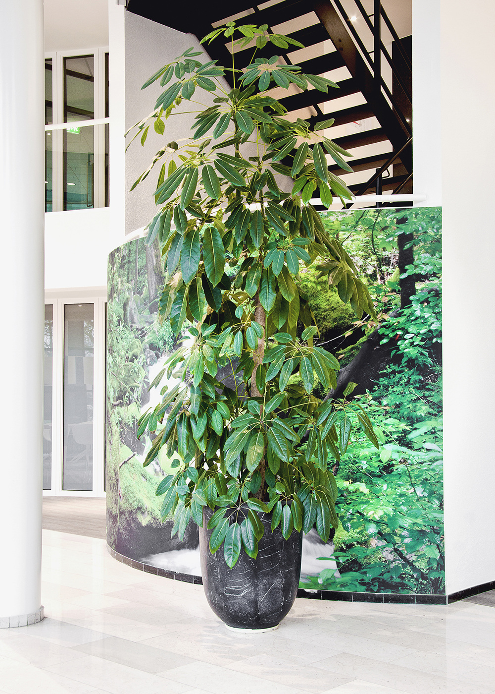 Designs for discomfort - Lynne Brouwer