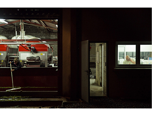 Cognacs Brisson/Martineau - Antoine de Tapol